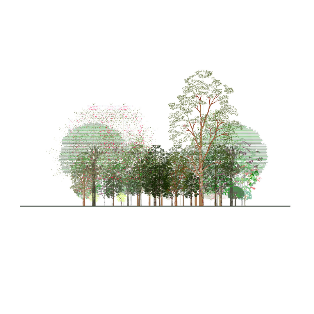 Revit – Catálogo BIM 02 Vegetación – DaniBIM