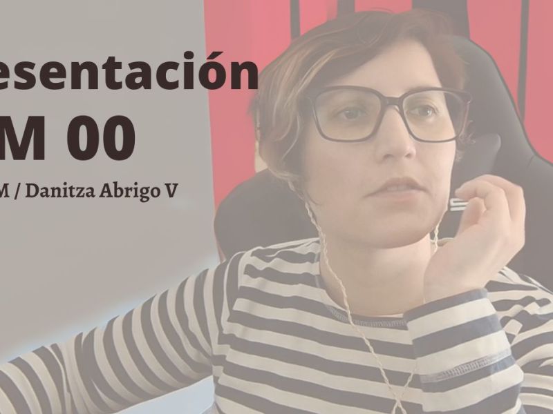 DaniBIM – Danitza Abrigo | Consultora BIM