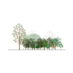 Familias Revit RFA – DaniBIM