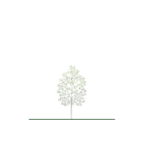 Familias Revit RFA – DaniBIM